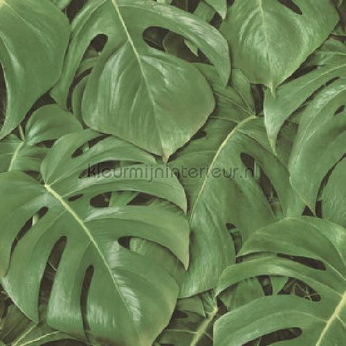 Grote bladerendek bladmotief bladmotief