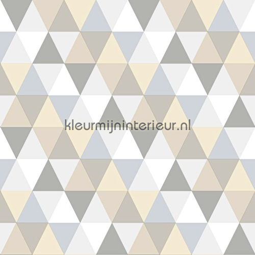 Trendy ruiten ruiten behang