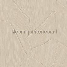 Modern Behang Abstract Behang Q-line behang