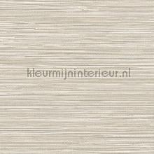 Modern Behang Abstract Behang Q-line behang