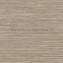 Modern Behang Abstract Behang Q-line behang