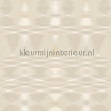 Modern Behang Abstract Behang Q-line behang